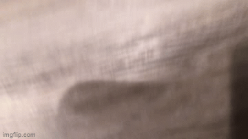 Shortest gif on imgflip - Imgflip