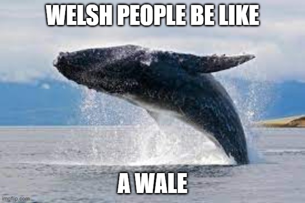 Welsh people be like - Imgflip