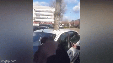 A tree through a car! - Imgflip