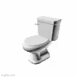 Toilet spin - Imgflip
