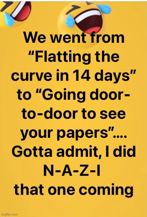 I Did Not Imgflip