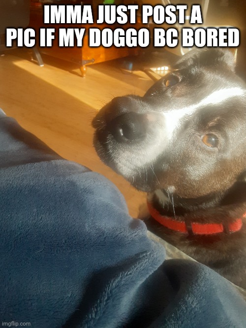 He bootiful - Imgflip