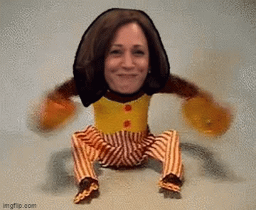 Kammy Whammy - Imgflip