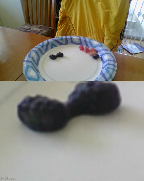 what is this. - Imgflip