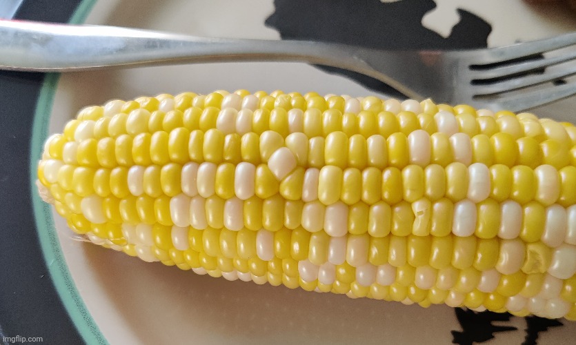 Here is some unsettling corn... You're welcome - Imgflip
