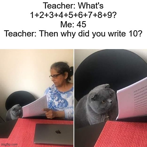 Woman showing paper to cat - Imgflip