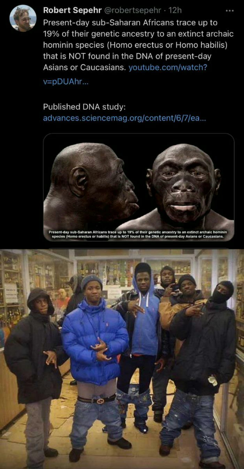 groids Blank Template - Imgflip