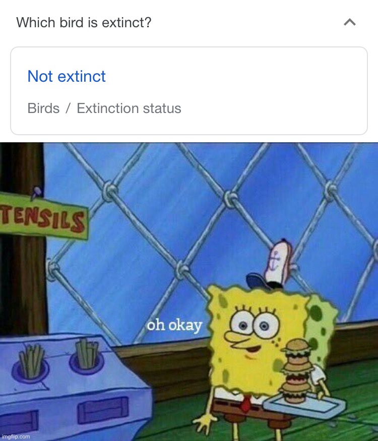 Image tagged in oh okay - Imgflip