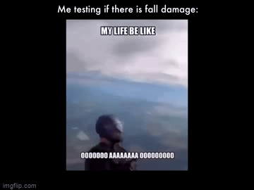 Me testing if there is fall damage - Imgflip