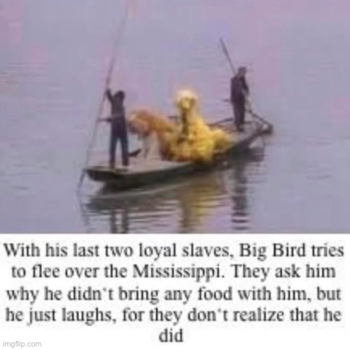 Big bird is big brain - Imgflip