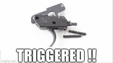 Trigger Warning !!! - Imgflip