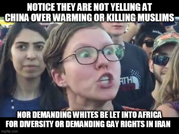 Angry sjw - Imgflip
