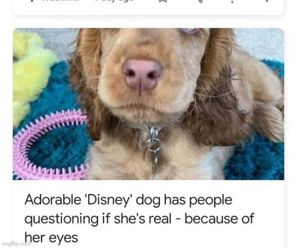 Of all the things to crop out - Imgflip