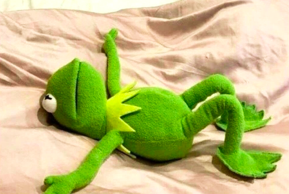 Kermit Frog Exhausted Memes Imgflip