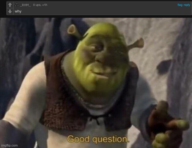 Image tagged in shrek good question - Imgflip