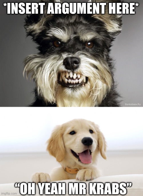 How to stop an argument in 0.01 seconds - Imgflip