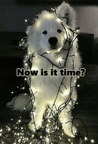 Is it time yet? - Imgflip