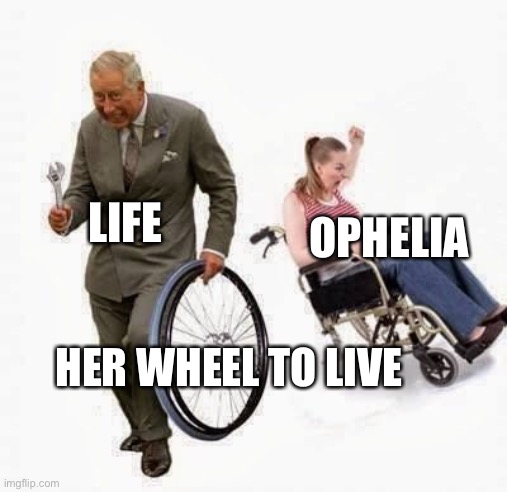 Old Man steals Wheelchair Wheel - Imgflip