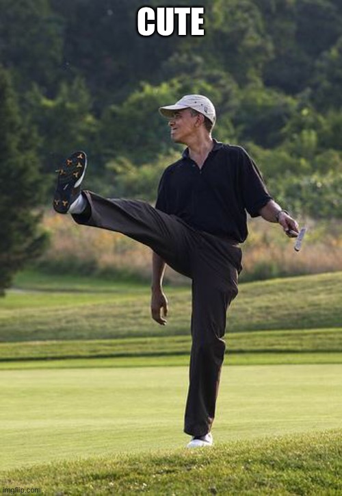 M i k u B u n n y - Imgflip