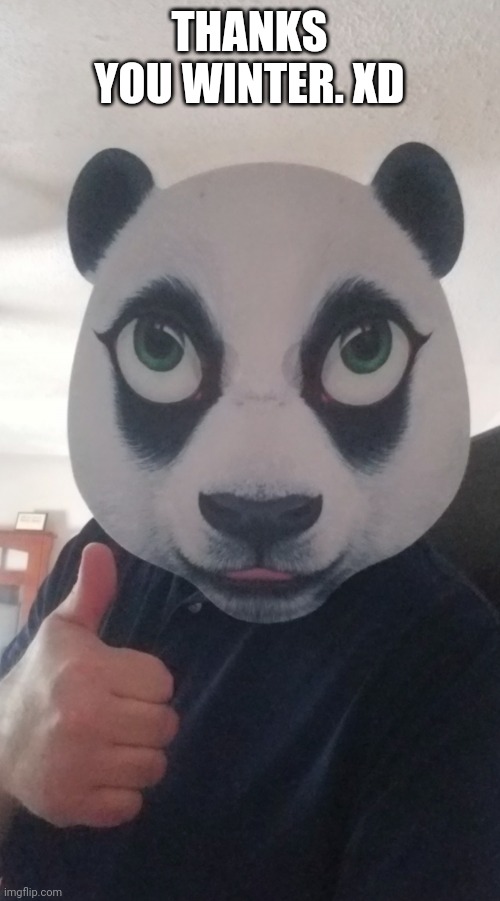 Panda Thumbs Up - Imgflip