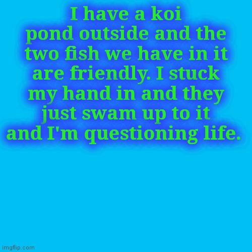 Blank Transparent Square Meme - Imgflip