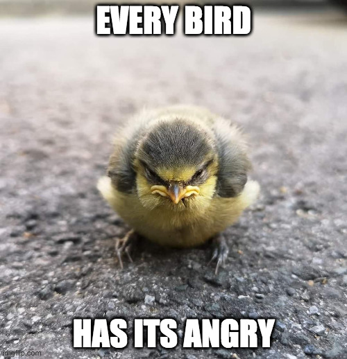 or something, I didn't play the game - Imgflip