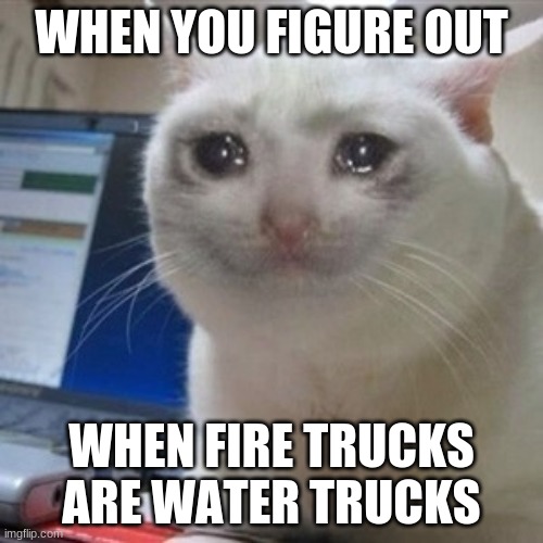 Crying cat - Imgflip