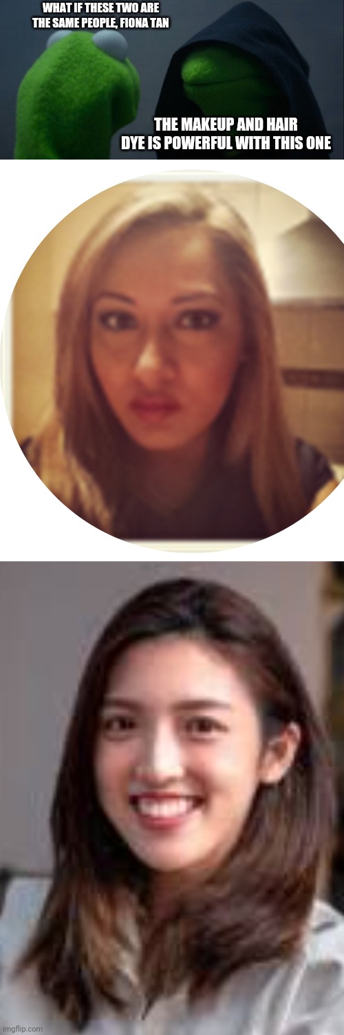 FIONA TAN SCAMMED FIONA NHEU AND LENG PUC - Imgflip