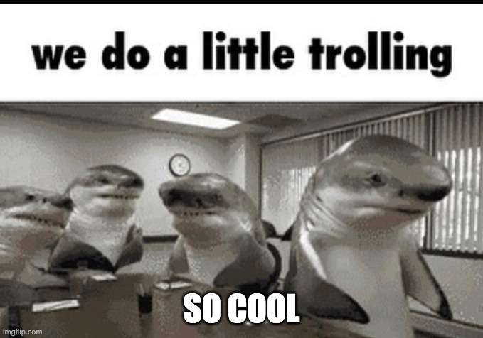 so cool - Imgflip