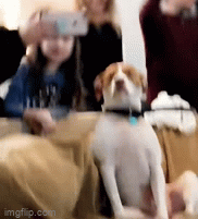 Me, An Introvert, At A Party - Imgflip