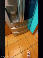 Which Fridge Would You Like? - Imgflip
