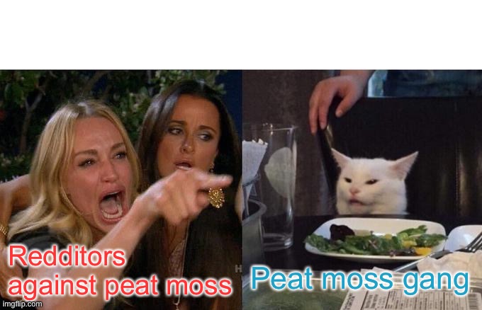 Woman Yelling At Cat Meme - Imgflip