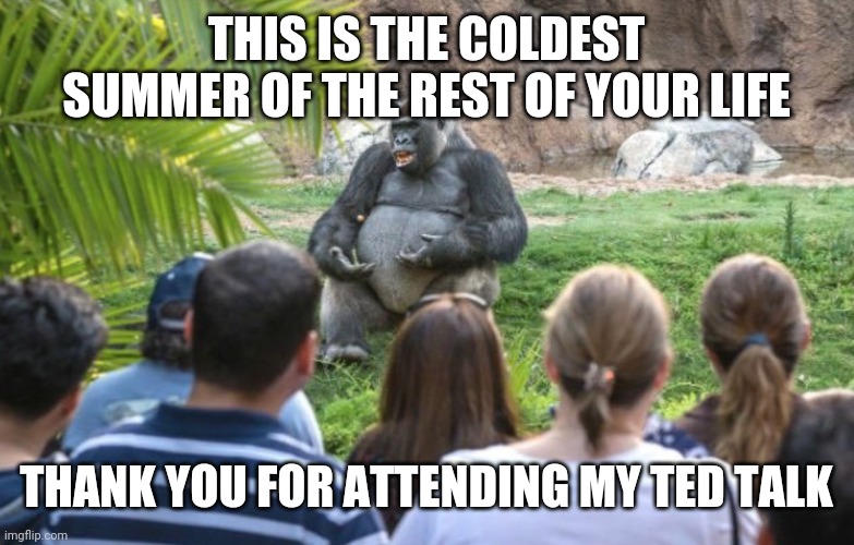 Image tagged in ted talk gorilla - Imgflip