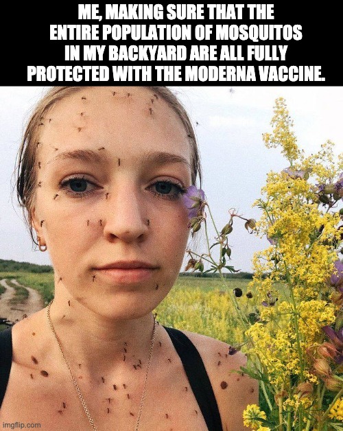 Moderna - Imgflip