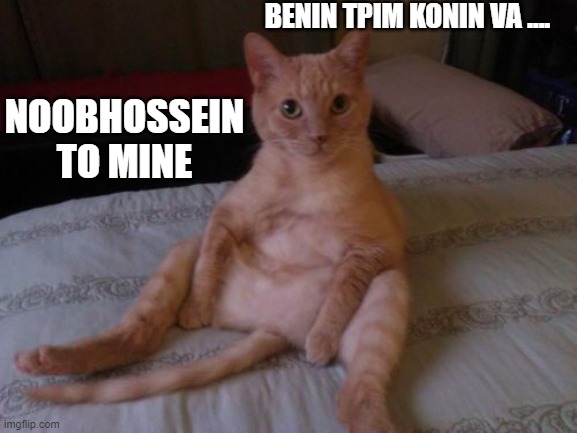 Chester The Cat Meme - Imgflip