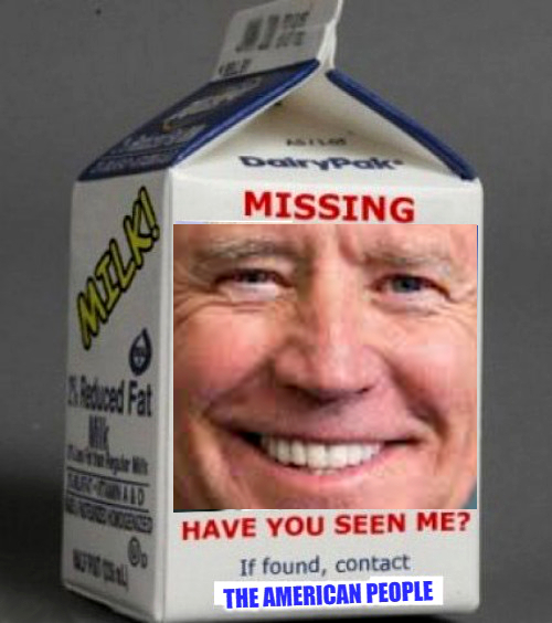 Biden Milk Carton Blank Template Imgflip