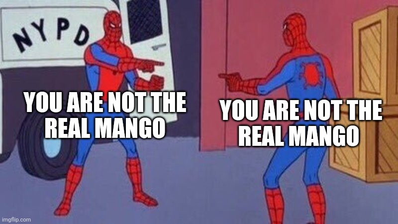 I keep telling Mango that this is a LGBT friendly household and he doesn't have to hide in the ...