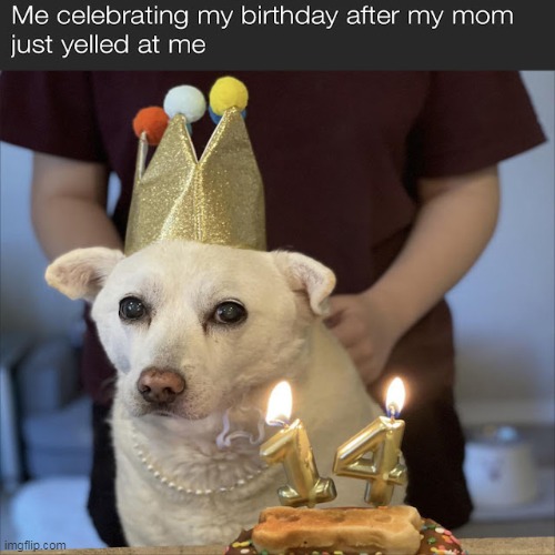 the 14 candle makes it better - Imgflip