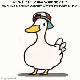 shuba duck - Imgflip