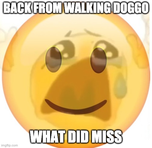 happy emoji on the outside, but crying on the inside - Imgflip