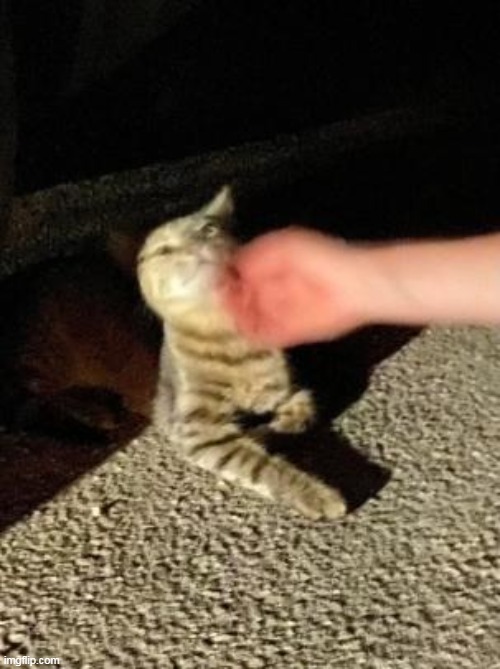 When someone wants to make human contact but you aren't in the mood to ...