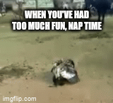 Nap Time - Imgflip