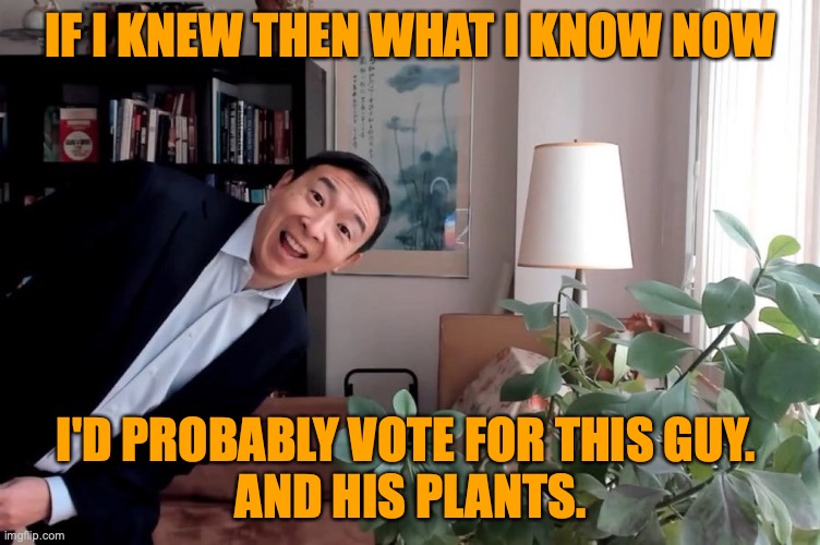 Andrew Yang and his house plants - Imgflip