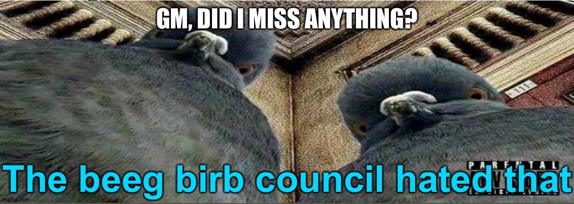 Image tagged in the beeg birb council hated that - Imgflip