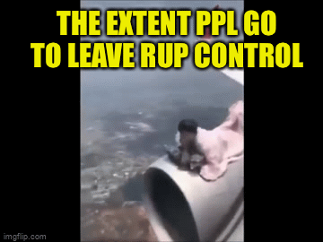 True story brah, vote Pepe party so you don’t have to climb onto an ...