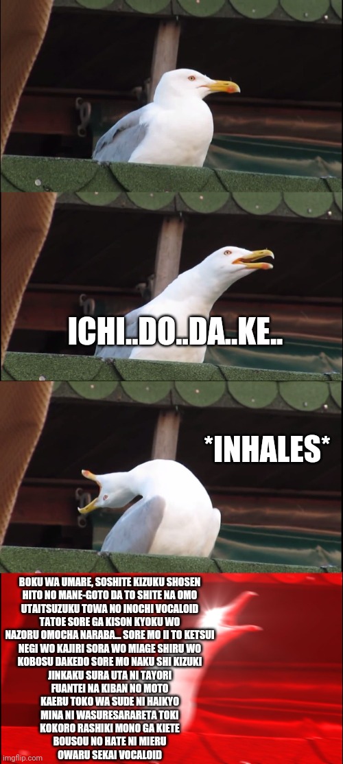 Inhaling Seagull Meme - Imgflip