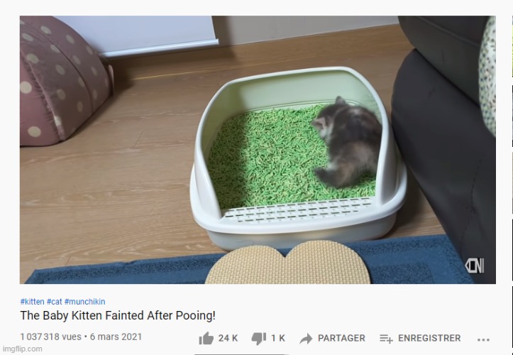 imagine taking a shit so hard you faint - Imgflip