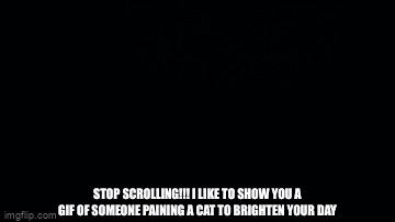 Cat - Imgflip