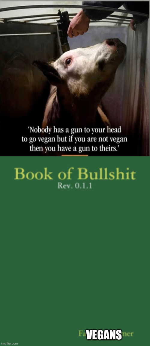 Image tagged in book of bs - Imgflip