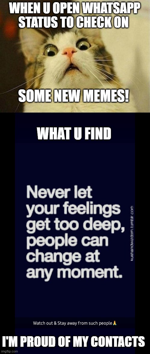 Status Para Whatsapp Memes Instagram Photo By Frases • Jan 5, 2025